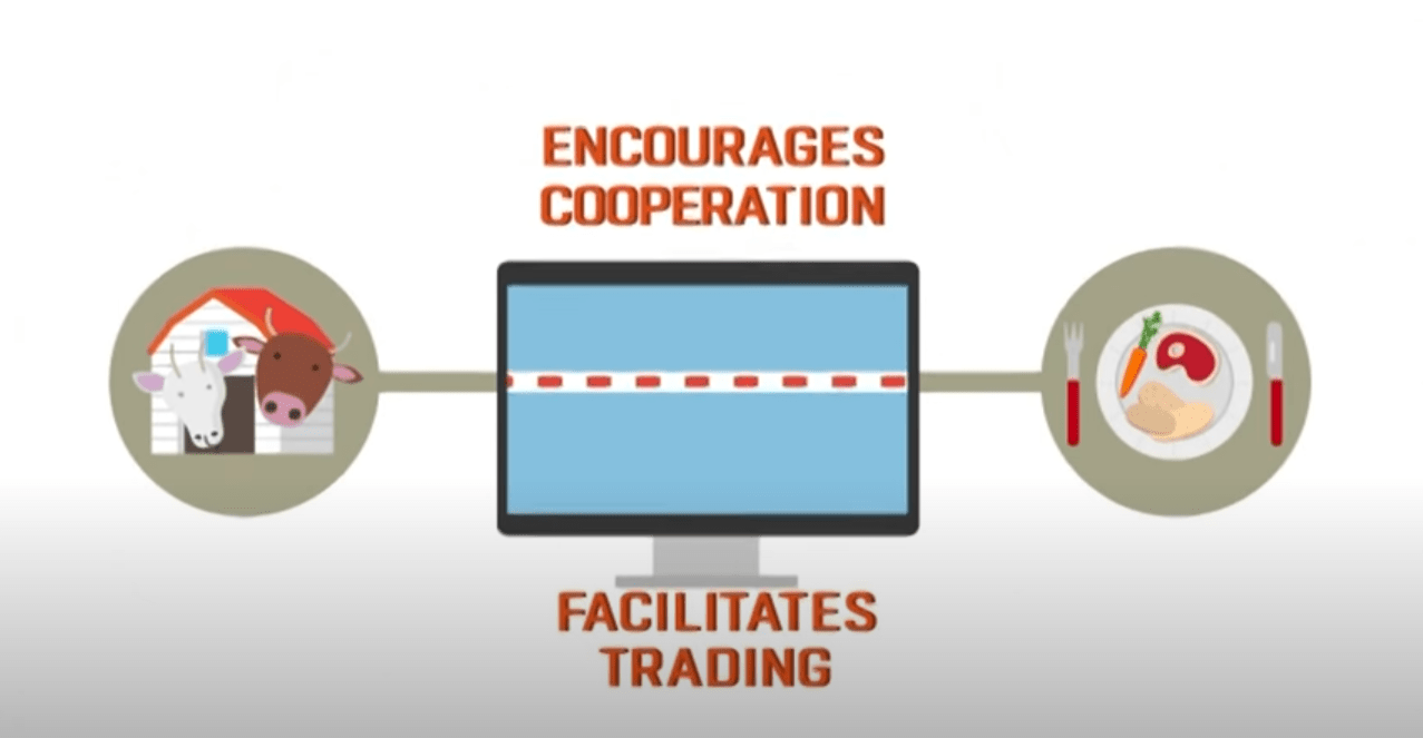 Use of TRACES NT in ACP countries - COLEACP NEWS