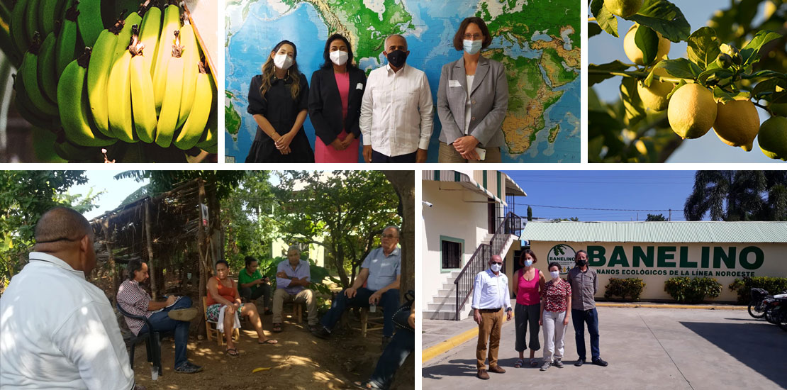 Dominican Republic: Supporting organic banana and citrus production ...