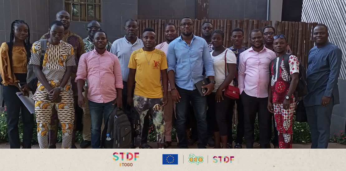 STDF Togo: Workshop on the validation of a strategic development plan ...